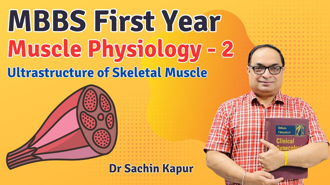 MBBS First Year | Muscle Physiology | Ultrastructure of Skeletal Muscle ...