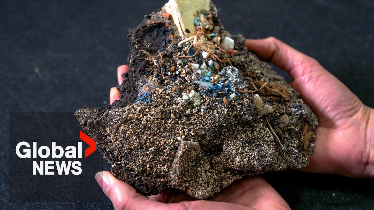 Plastic fossils: Evidence of human impact on world forever etched in ...