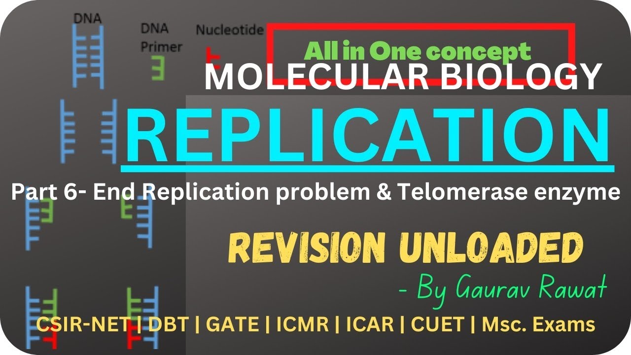 Molecular Biology Quick Revision| Part-6 | End Replication problem ...