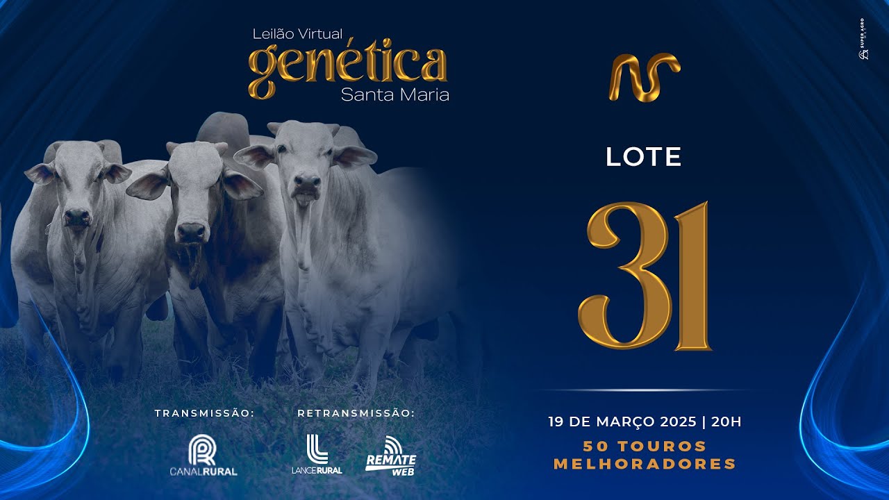 LOTE 31 2317 DA SM - YouTube