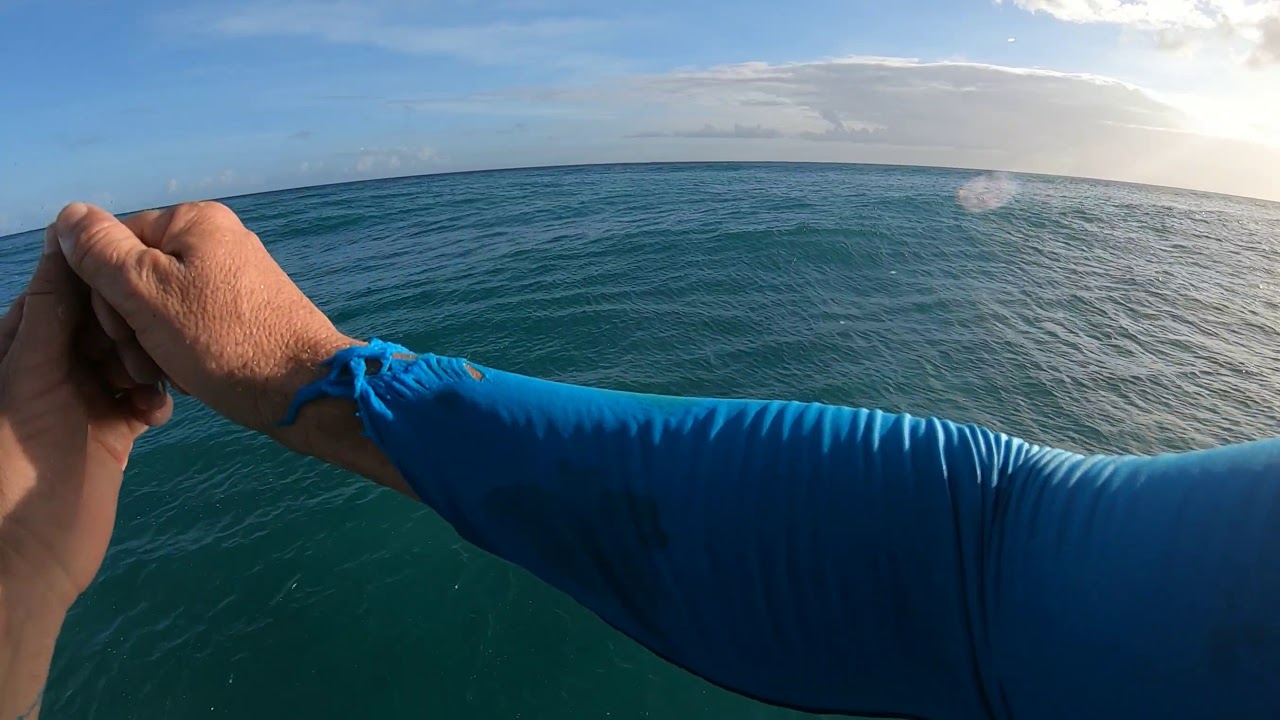 5 Minute Foil Surfing Flight off of One Wave - YouTube