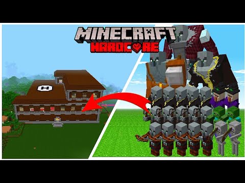 I ATTACK THE WARRIOR PILLAGER,EVOKER, VINDICATOR, SKELETON,WITCH ...