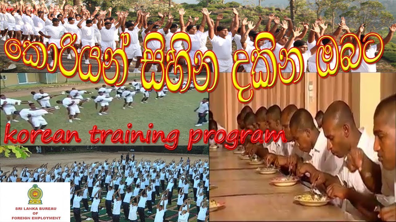 කොරියන් සිහින දකින ඔබට .. korean training program sri lanka ll slbfe ...