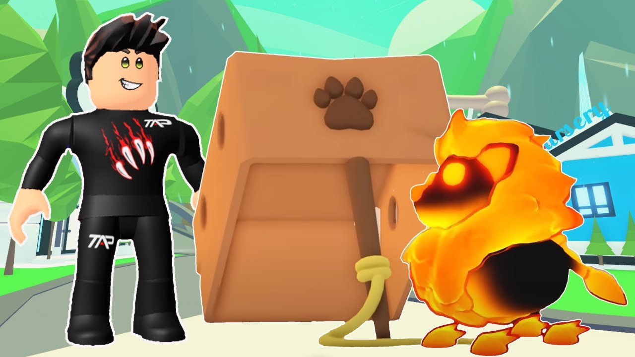 ¿Último día para capturar las MASCOTAS de la DIMENSIÓN de FUEGO de ...