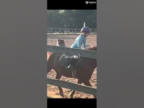 I love horseback riding ️‍🔥🐴 #horse #hobby #horseriding #horsegirl ...