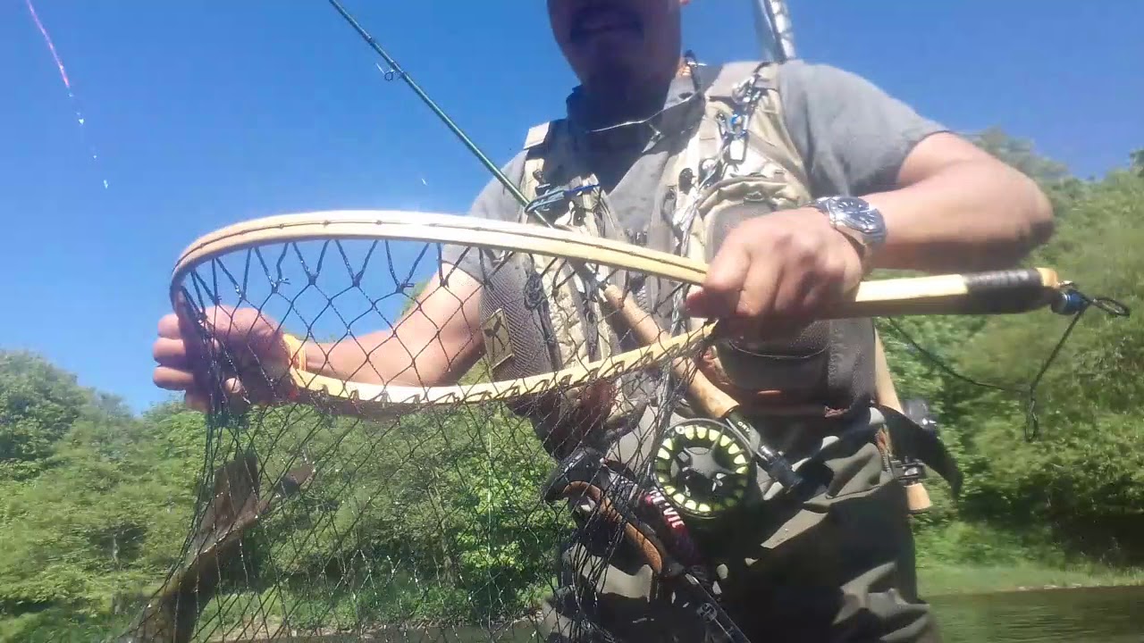 River Taff biggest fish - YouTube