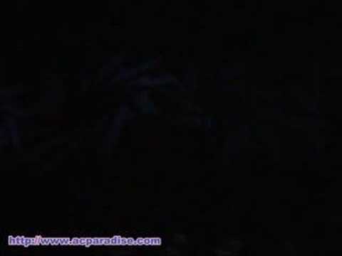 Burmecian Soldier @ Anime Expo 2006 - #22 Final Fantasy IX - YouTube