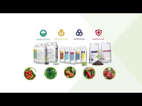 TRICHODEX - VIDEO CORPORATIVO - BIOTECNOLOGÍA - AGRICULTURA - YouTube
