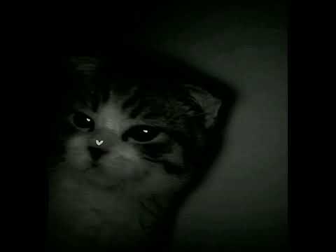 TERNOVOY - Домофон (sped up/nightcore)