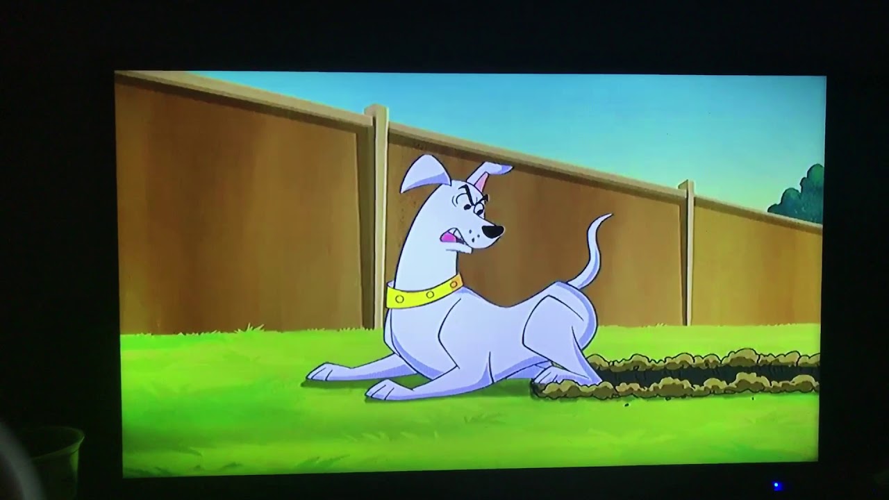 Krypto Is Very Angry - YouTube