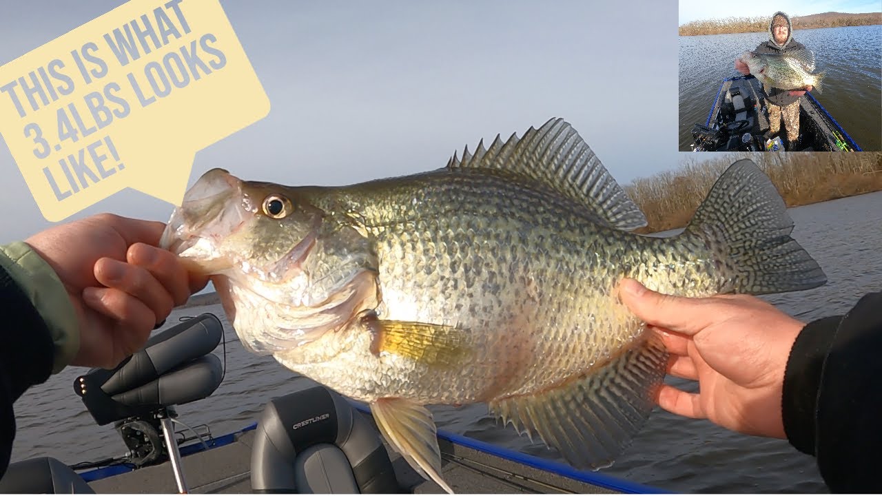 GIANT CRAPPIE AFTER GIANT CRAPPIE - Crappie Fishing - 3.4LB MEGA SLAB ...