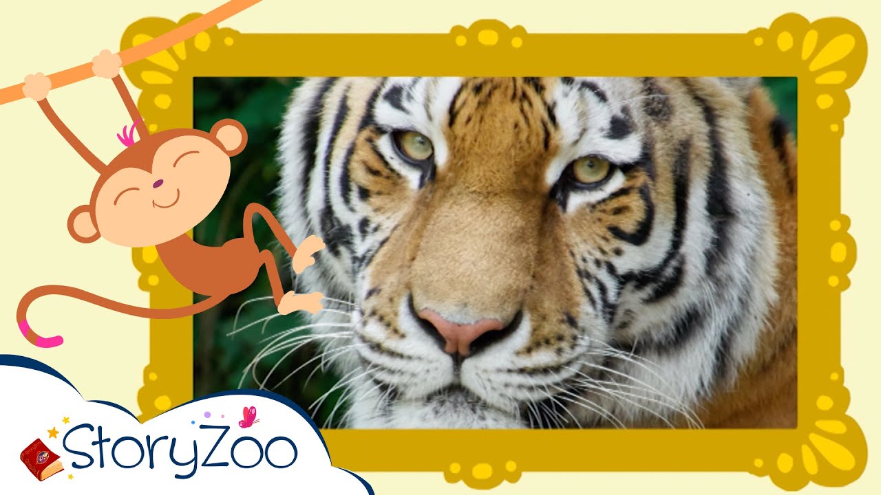 StoryZoo | StoryZoo in The Zoo | Learn About Tigers | Educational ...