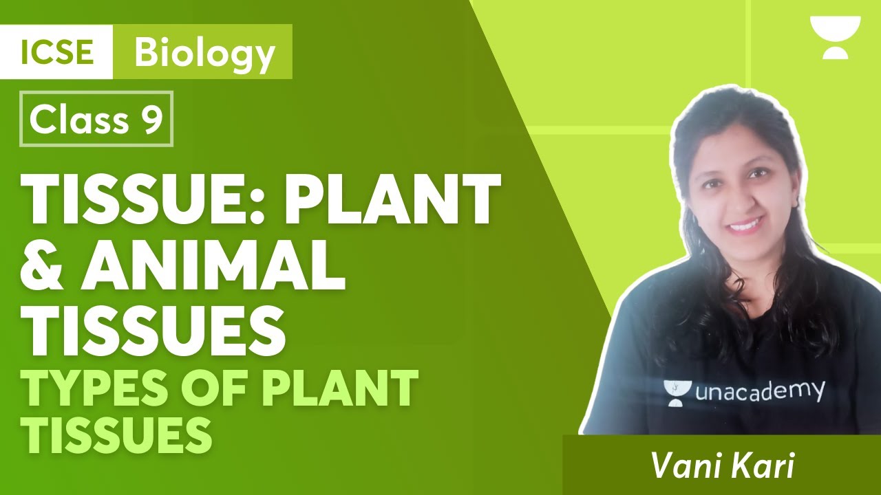 Tissue: Plant and Animal tissues | Types of Plant Tissues | L3 | ICSE ...