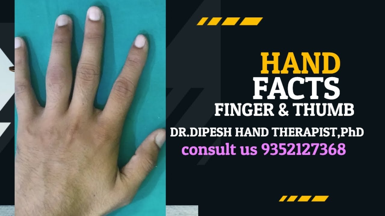 Hand facts & understand your movements #hand #university#oxford# ...