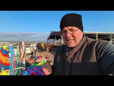 ÇORUM HAYVAN PAZARI 13 NİSAN ÇEKİMİ 1 BÖLÜM 13 NİSAN 2026