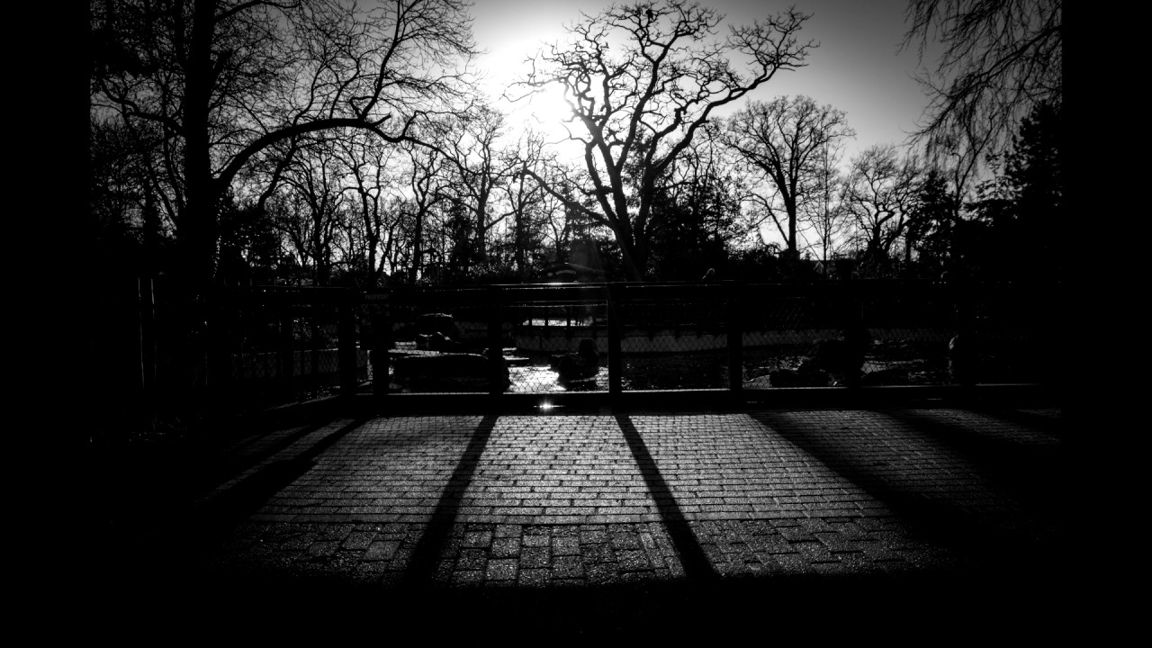 High Noon - Shadows - YouTube