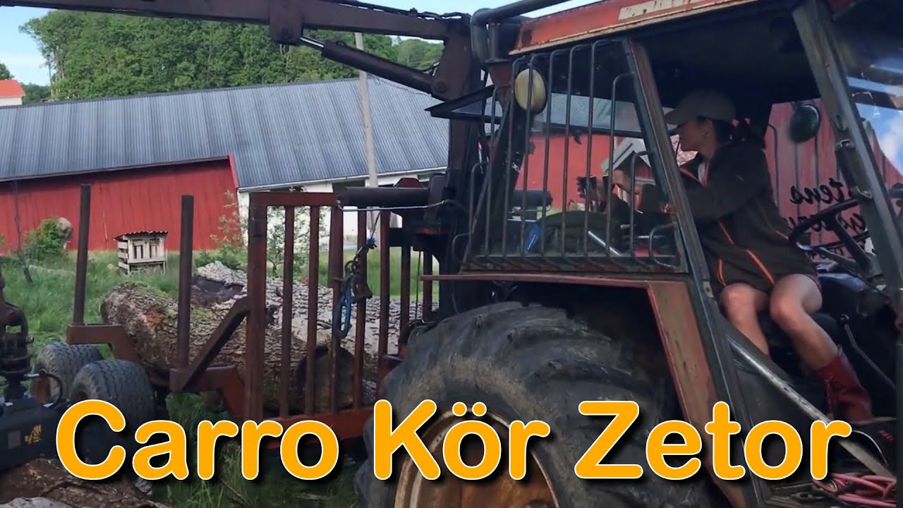 Lastar grova ekstockar med zetor 7045 / Girl loading heavy logs with ...