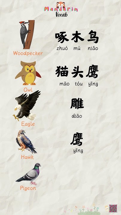 Engage and Learn: Chinese Animal Vocabulary Made Simple🦅 # ...