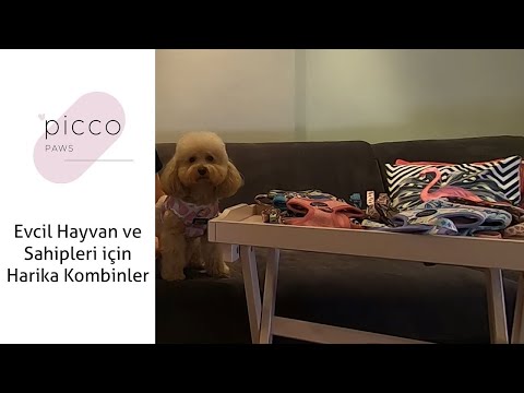 Picco Paws Evcil Hayvan Koleksiyonunda Neler Var ?