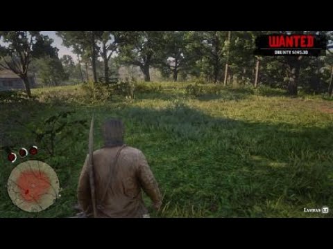 Red Dead Redemption the axe curved HOW? - YouTube