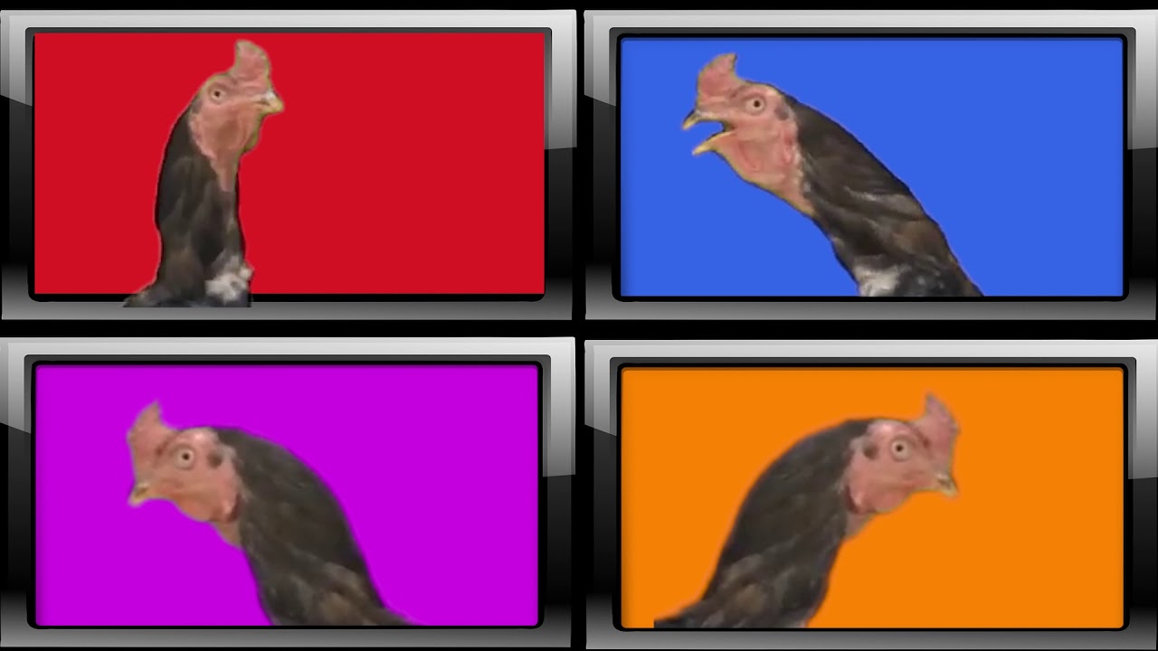 The Chicken Song DANCE special for children and kids - YouTube