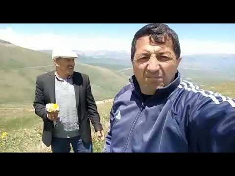 Zahid Muxtar Göyçədə