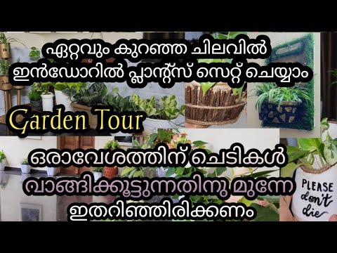 ചെടികൾ എങ്ങനെ ഭംഗിയായി സെറ്റ് ചെയ്യാം/gardening/gardening ideas/indoor ...