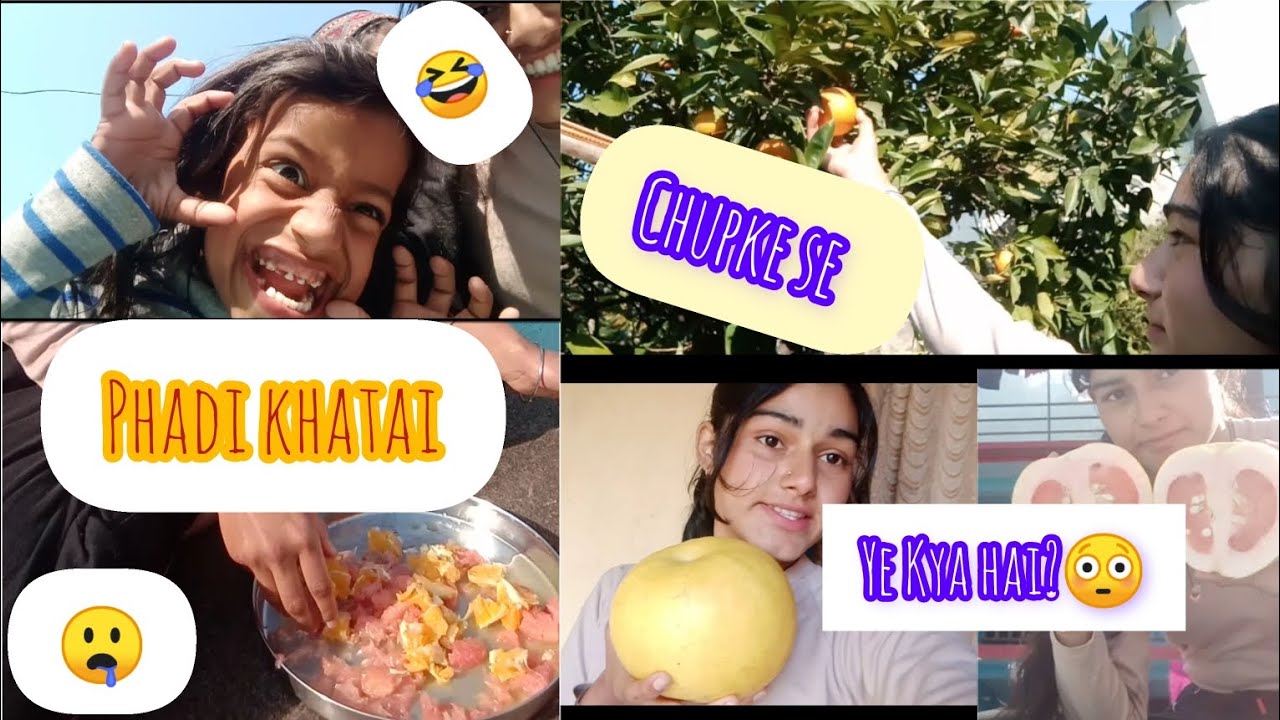 phadi dish 😳khatai? 🤤😊 #phadi #phadifood #reaction 😳😳 #family #tannvi # ...