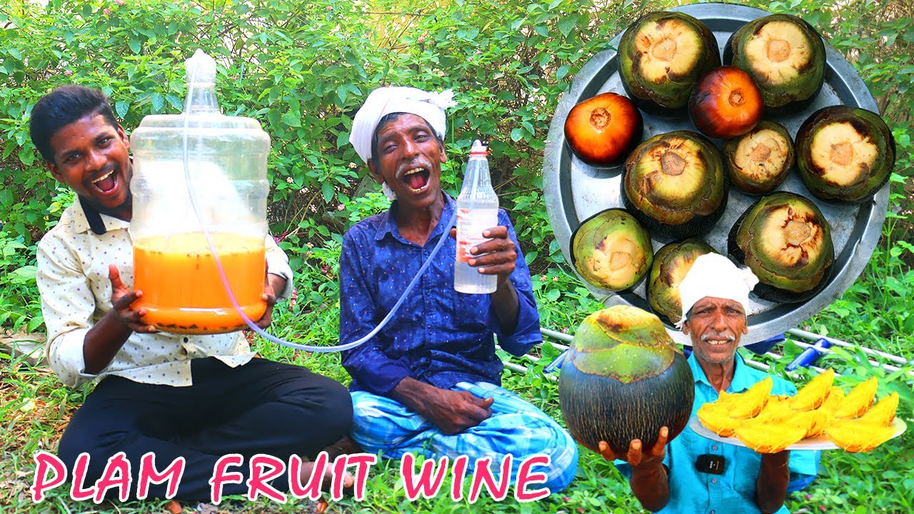 Plam Fruit Wine | Panam Pazham Wine Recipe in Tamil | VILLAGE KITCHEN ...