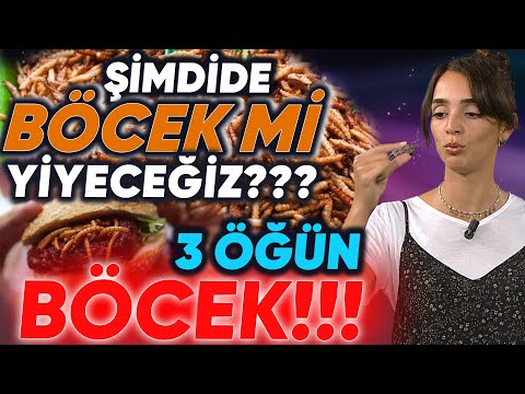 Böcekler besin olarak sağlıklı mı? Gıda sıkıntısı nedeniyle böcek mi yiyeceğiz?
