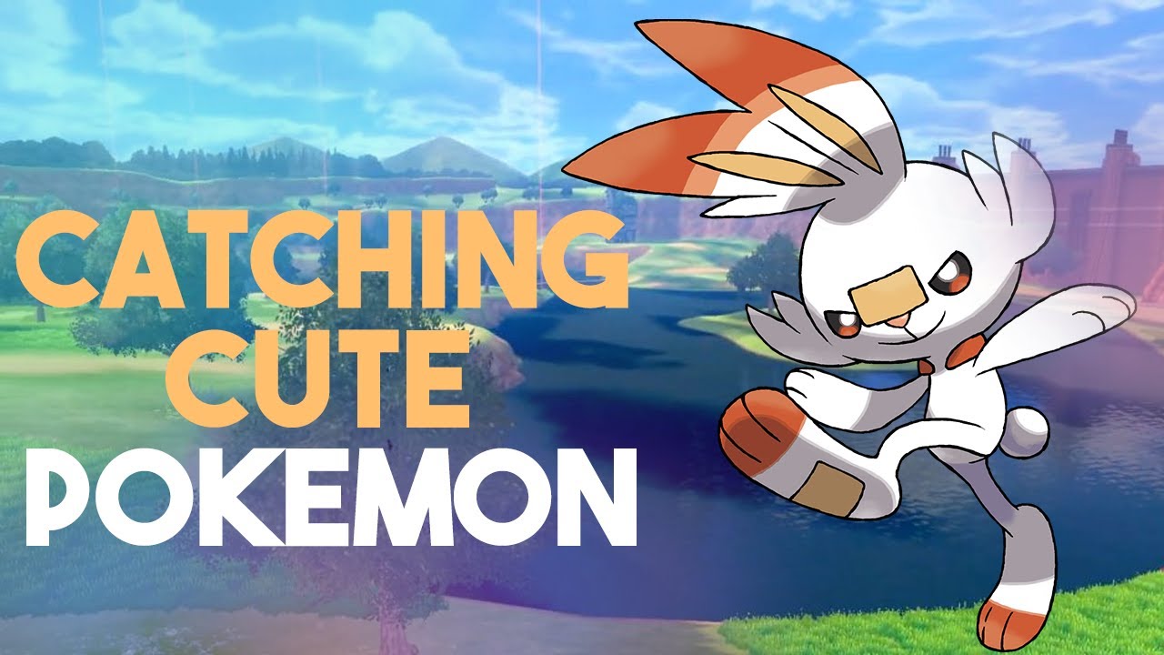 CATCHING CUTE POKEMON! - Pokemon Sword and Shield | Episode 1 - YouTube