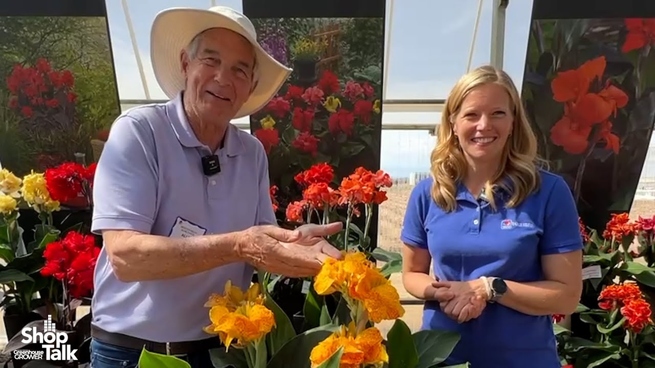 California Spring Trials 2024: Canna 'Canova Gold Leopard' at American ...