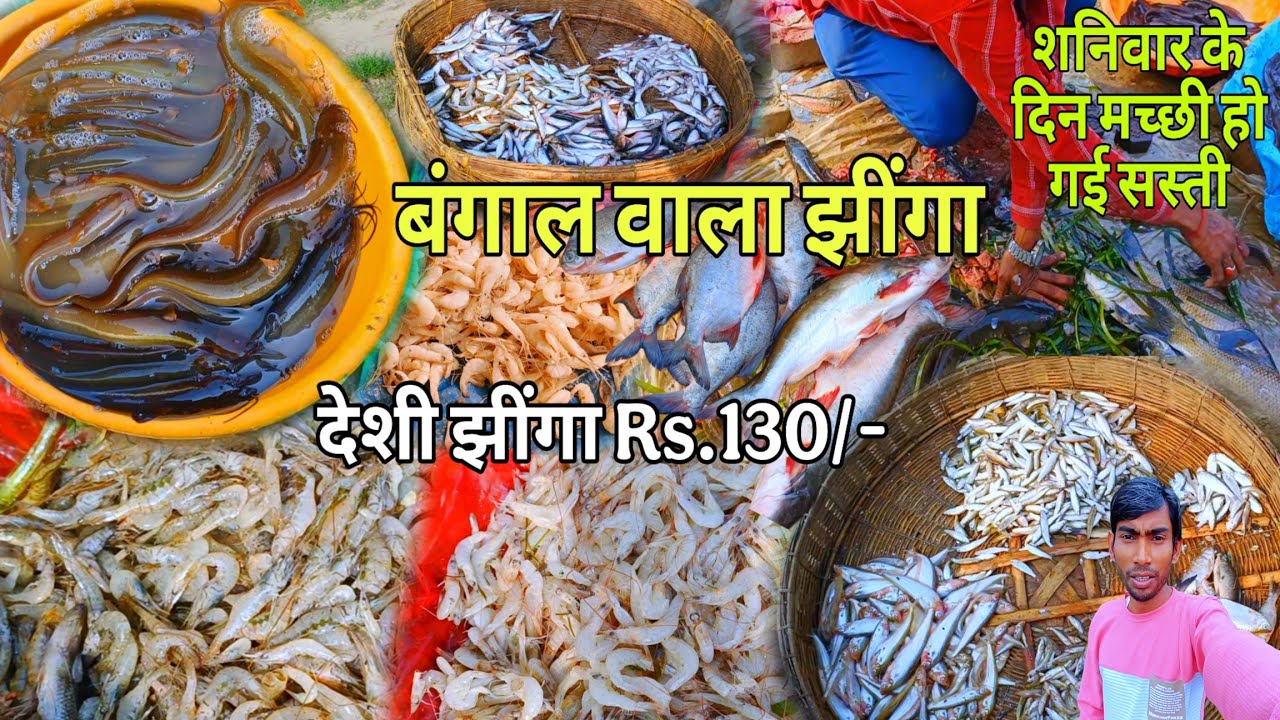 बंगाल वाला मछली और देश मच्छी का रेट | Fresh Fish Market | Sabse Sasta ...