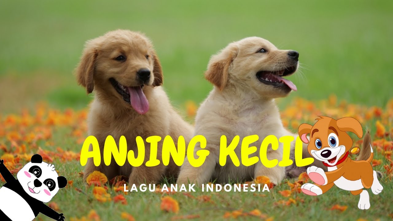 Anjing Kecil | Heli guk guk guk | Lagu Anak Populer | Panda Ch. - YouTube