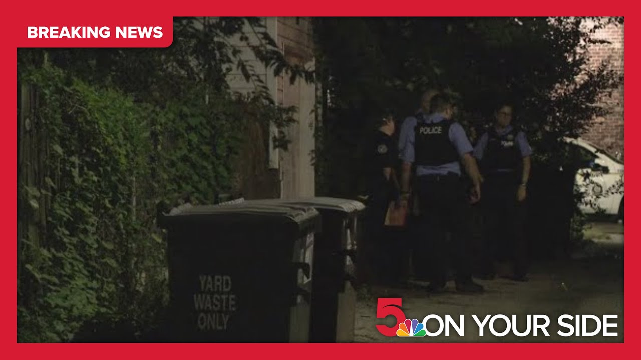 Man shot, killed early Tuesday in south St. Louis - YouTube