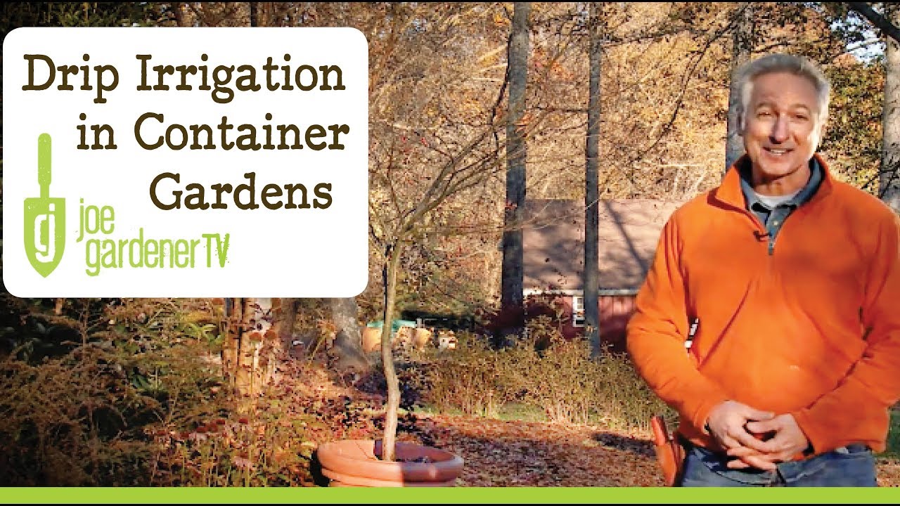 Drip Irrigation Basics - Container Gardening - YouTube