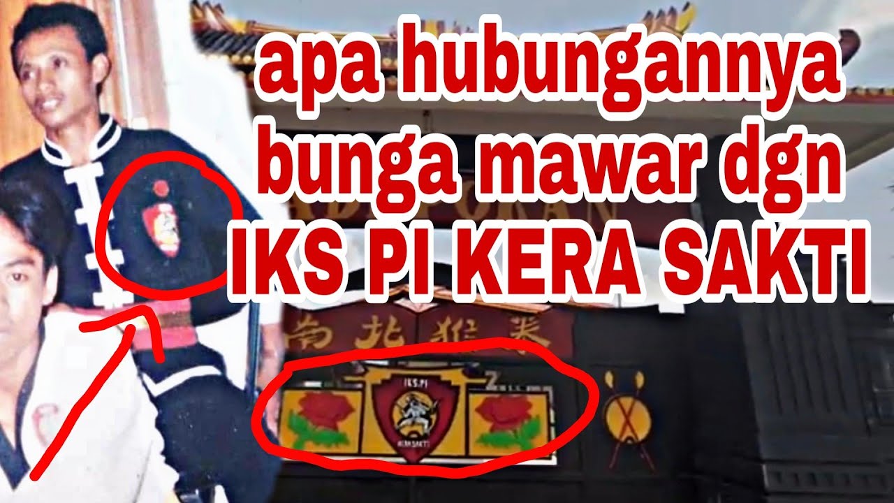 #IKSPI #BUNGAMAWAR #FILOSOFI APA HUBUNGAN NYA IKS PI DENGAN BUNGA MAWAR ...