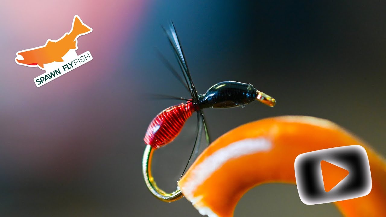 Wire Bodied Sinking Ant- Fly Tying Tutorial - YouTube
