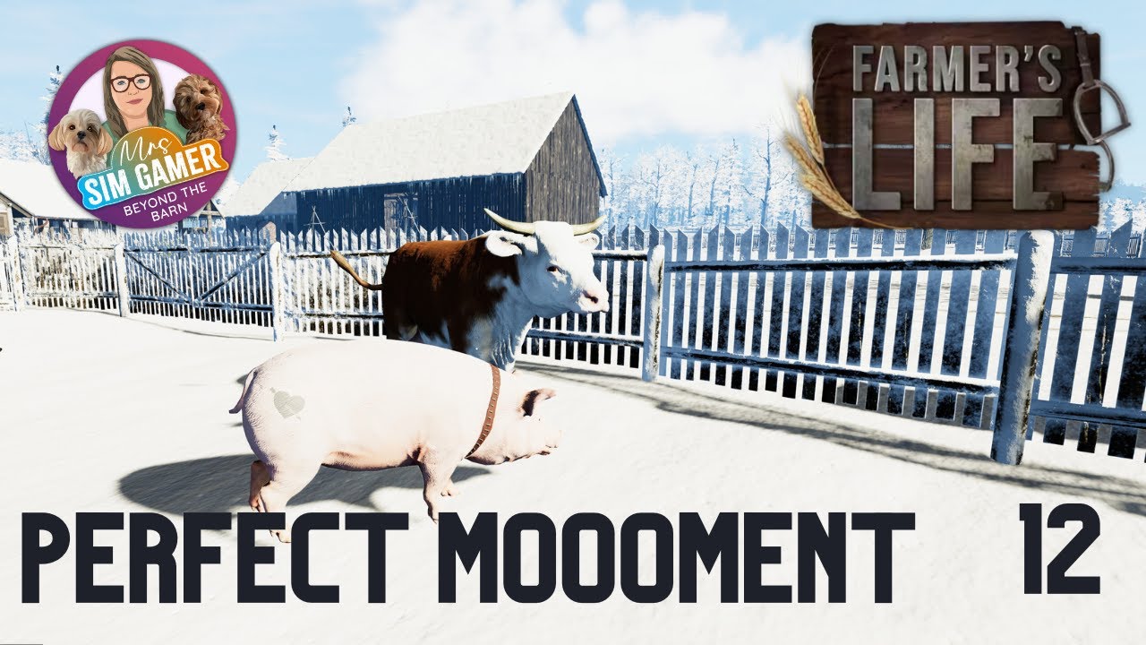 Perfect mooment on Farmers Life - Episode 12 - YouTube
