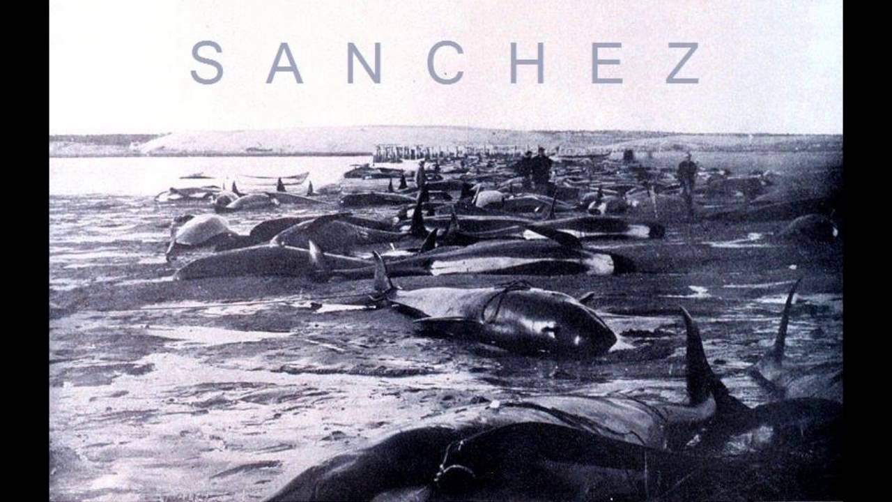 Sanchez - Sanchez (Full Album 2012) - YouTube