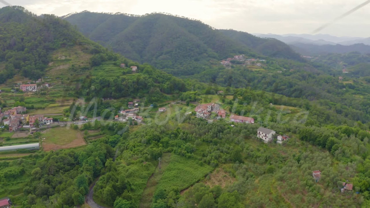 Italy. Forest covered mountains and villas. The territory of Pignone in ...