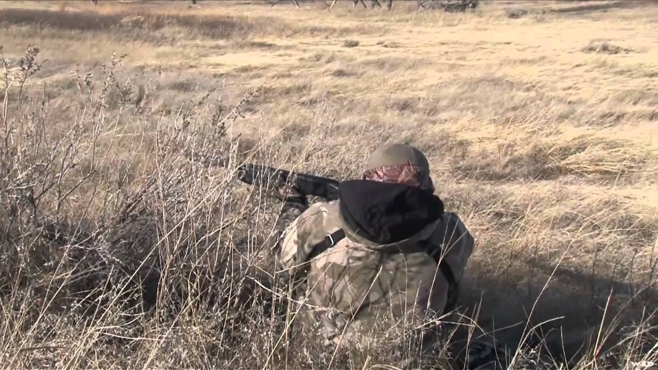 Predator Quest - South Dakota Predators - YouTube
