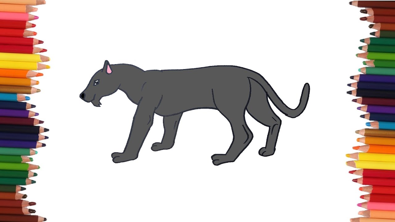 Dibujo De Pantera Paso Paso Pantera PNG Imágenes Y Dibujos Con Fondo