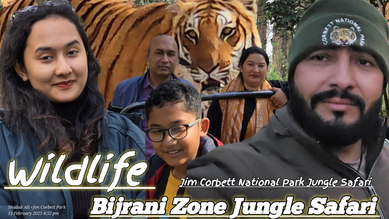Bijrani Zone Jungle Safari / Jim Corbett National Park Jungle Safari ...