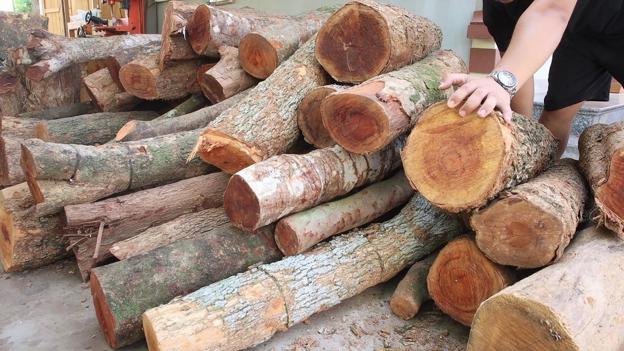 Extreme Peak Woodworking Projects From Hardwood Tree Trunks || Great ...