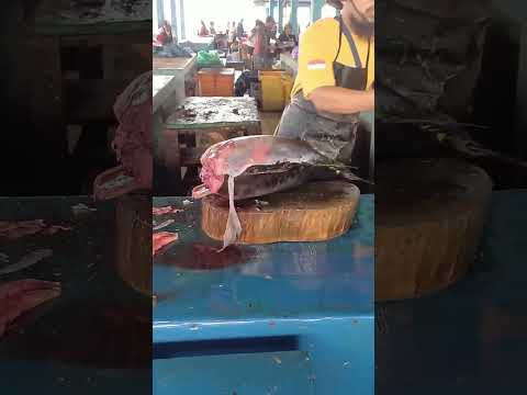 Big tuna cutting skills