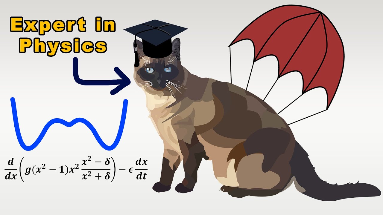 Cats & Physics - YouTube