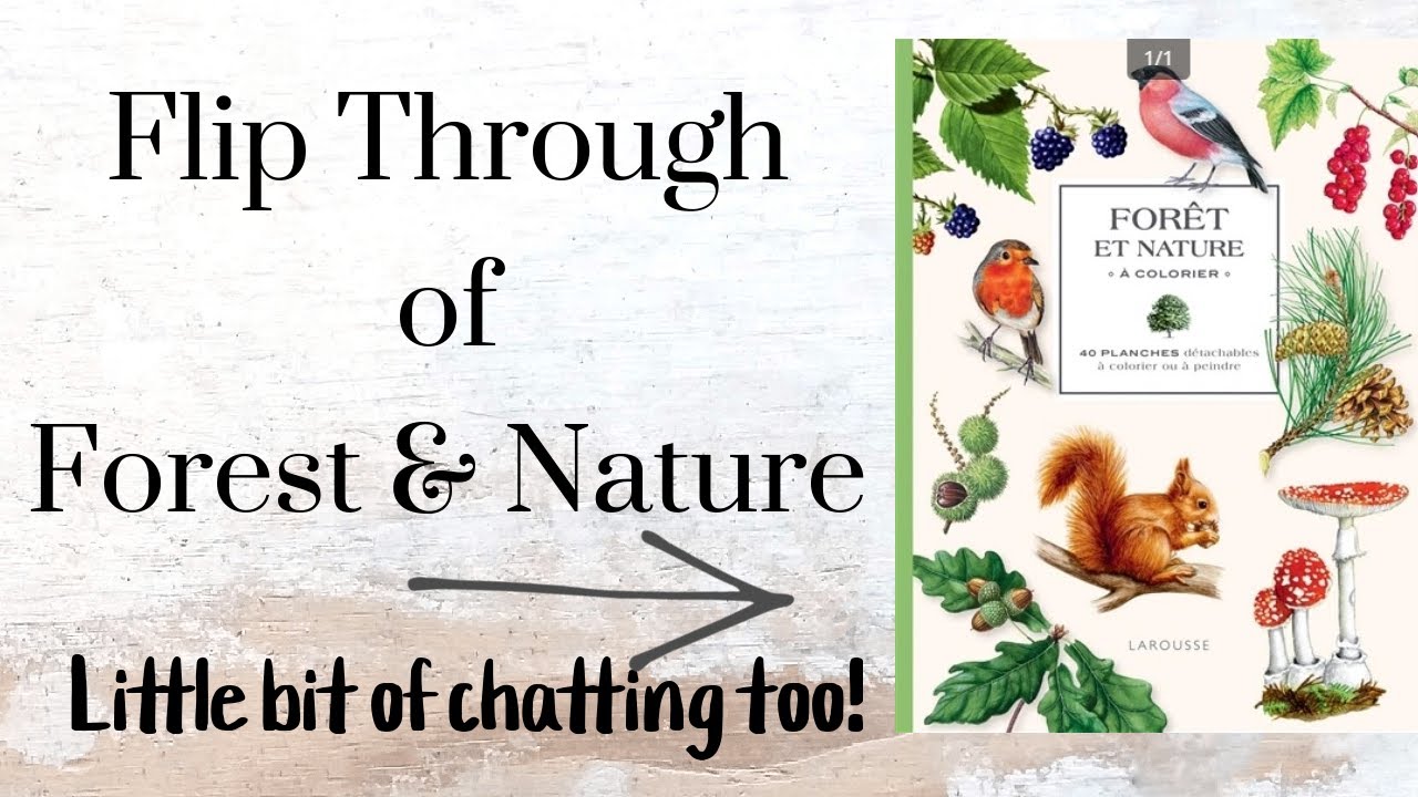 Forest of Nature a Lireka Adult Coloring Book Flip Through - YouTube