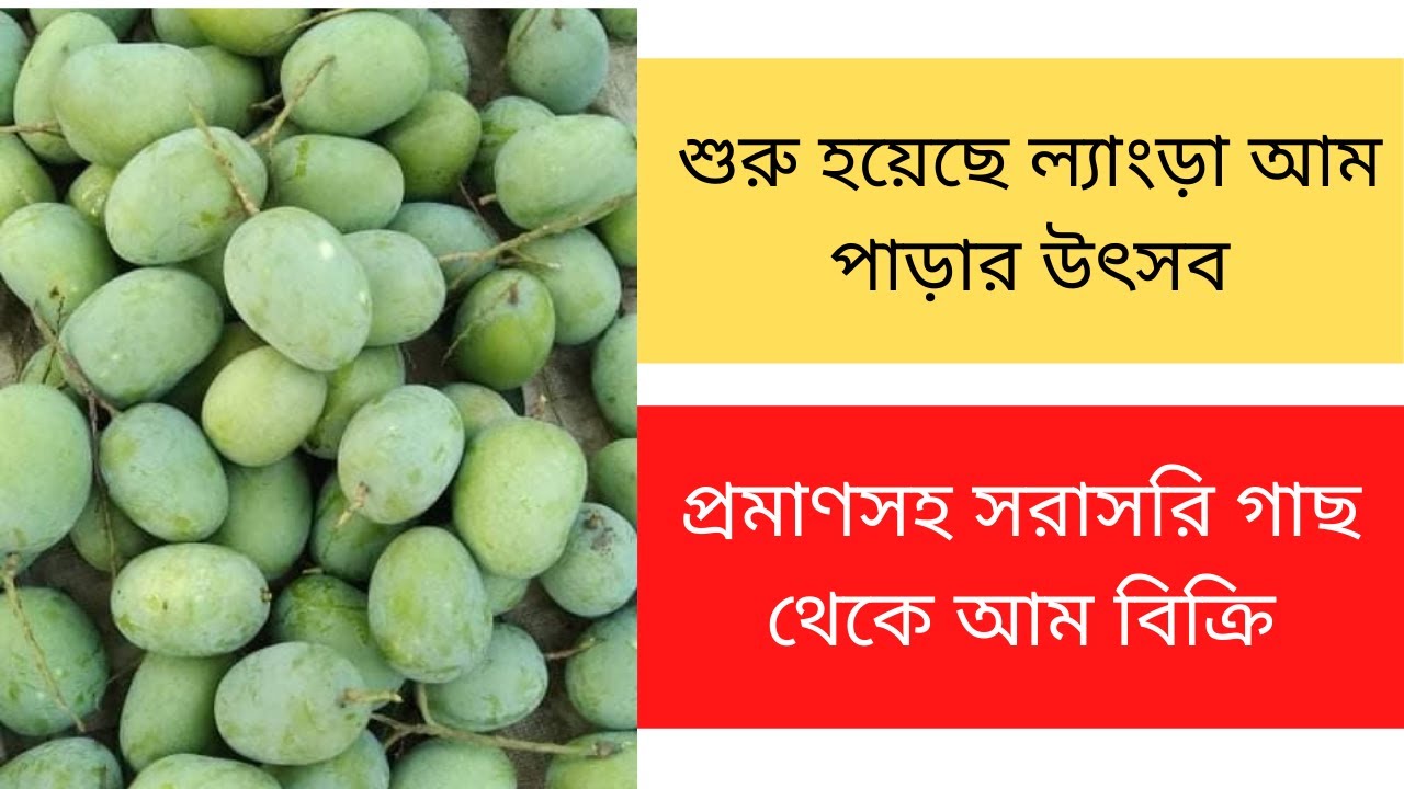 রাজশাহীর ফরমালিন মুক্ত কেমিক্যাল মুক্ত আম | mango selling website - YouTube