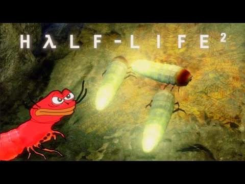 Half-Life 2 - Grub Stomping - YouTube